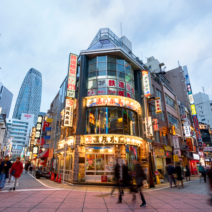 About Us | SVJP: Silicon Valley Japan Platform